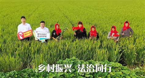 高邮：喜迎农民丰收节 法治护航乡村振兴法润江苏