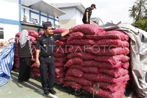BEA CUKAI GAGALKAN PENYELUNDUPAN BAWANG ANTARA Foto