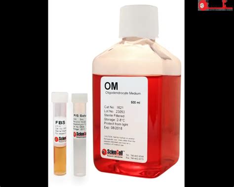 Oligodendrocyte Medium Om