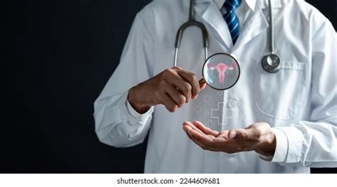 여성의 생식 기관 199개가 넘는 로열티 프리 라이선스 대상 스톡 사진 Shutterstock