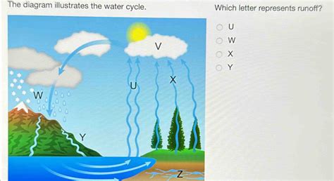 Solved The Diagram Illustrates The Water Cycle Which Letter