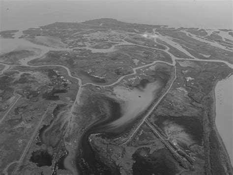 Noaa Predicts Gulf “dead Zone” Will Be About 5 500 Square Miles