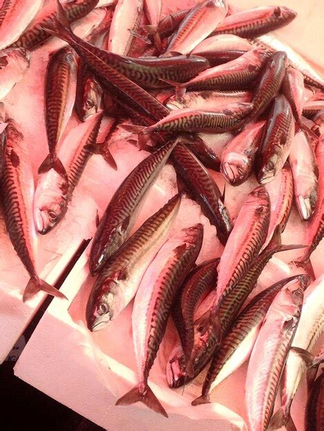 Premium Photo High Angle View Of Fish On Polystyrene Containers At