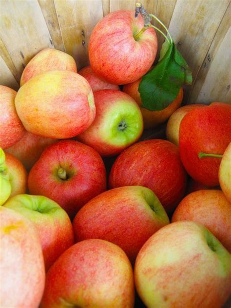 25 Best Superfoods For Weight Loss To Include In Your Diet Artofit