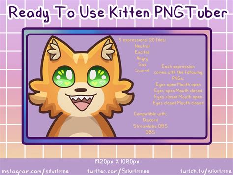 Ginger Cat Pngtuber Model Stream Mascot 5 Expressions And 20 Etsy