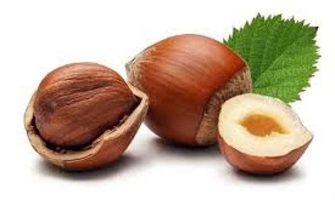 Hazelnut Market To See Huge Demand By 2030 Balsu Karimex Nuts