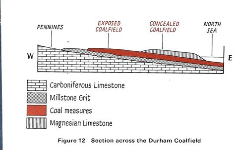 Geology The Durham Coalfield Etc Evenwood Ramshaw And District History Society