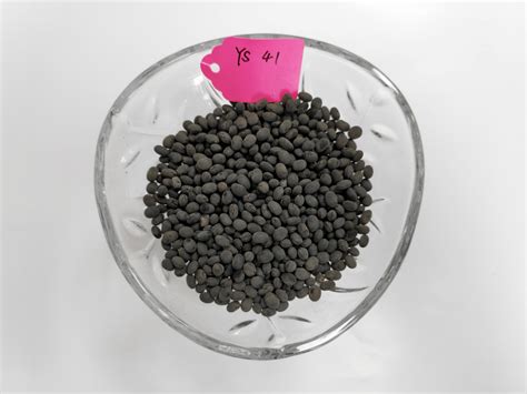 兴安盟特色粮食作物实验材料随神舟十六号飞入太空！育种载人航天农牧