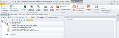 TOTVS RH Linha RM PTO Como omitir uma coluna do relatório do