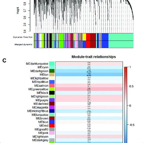 The Gene Modules Are Identified By Weighted Gene Coexpression Network