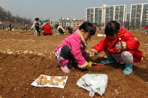 광명시 친환경 시민 주말농장 대폭 확대 아주경제