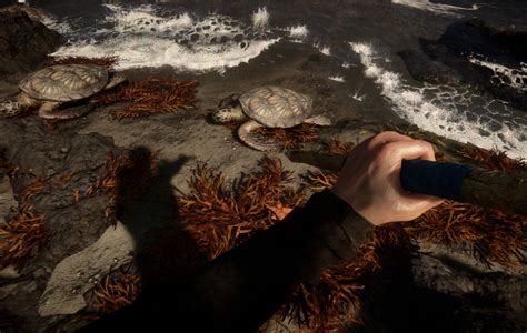 Sons Of The Forest System Requirements For PC