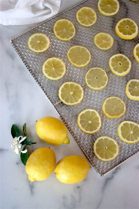 Dehydrating Lemons — Practical Self Reliance