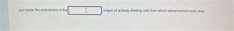 Solved Just Inside The Endodermis Is Thea Layer Of Actively