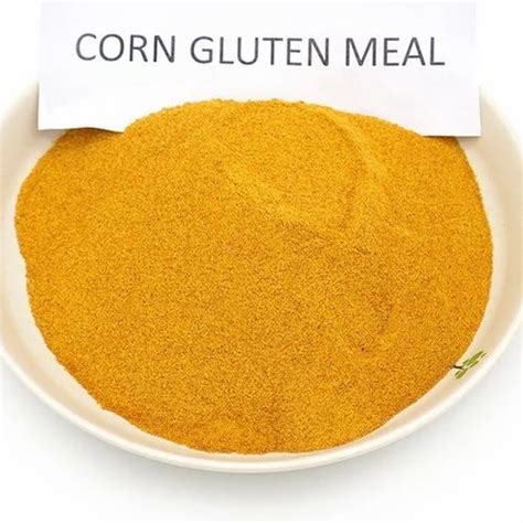 Powder Corn Gluten Feed 25 Kg At ₹ 25kg In Kashipur Id 2852954741297