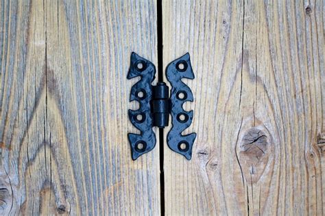 Types Of Cabinet Hinges Explained With Pictures Homenish Atelier