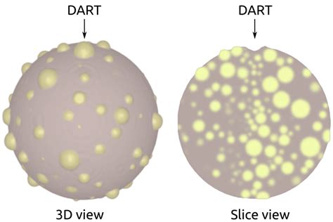 3d and slice view from an sph simulation showing the early stages of a