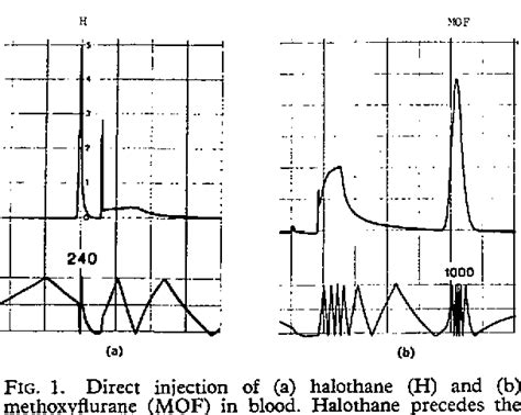 Figure 1 From Gas Chromatographic Determination Of Methoxyflurane In