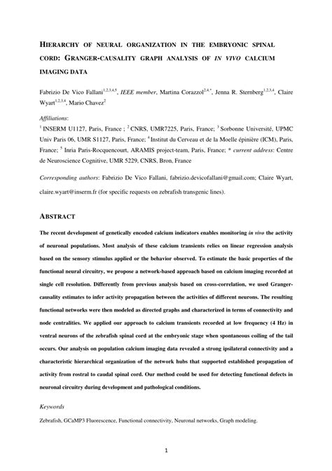 Pdf Hierarchy Of Neural Organization In The Embryonic Spinal Cord Granger Causality Graph
