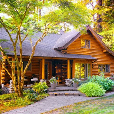 Small Log Cabin Design Ideas In India