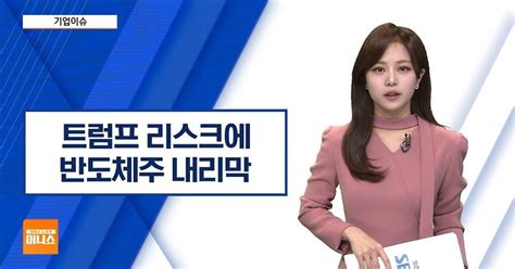 기업이슈 트럼프 리스크에 코리아 엑소더스우려반도체주↓