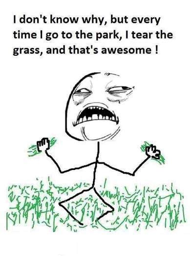 Tear The Grass Desi Comments