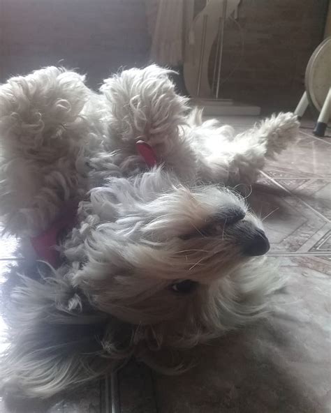 Rpier • Instagram Photos And Videos