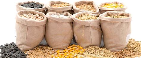 Mycotoxin Testing Haes Brothers