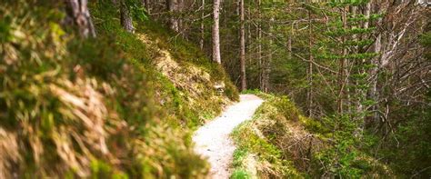 Mitical Trail 70 La Bicicleta De Montaña Definitiva Udoe