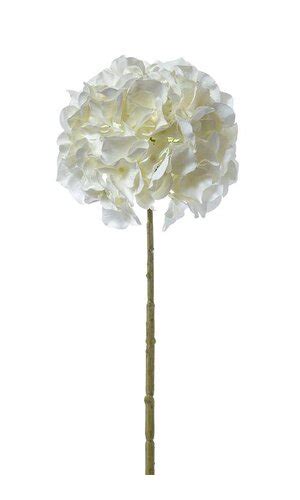 21 Hydrangea Stem White Rfd