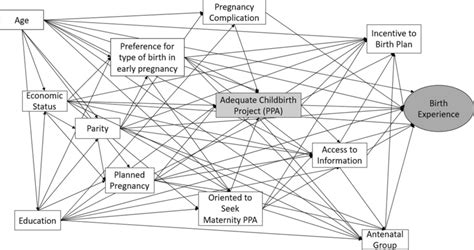 Theoretical Model Of The Association Of Ppa On Birth Experience Download Scientific Diagram