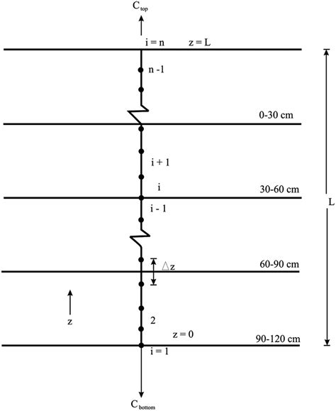 Finite Difference Discretization Download Scientific Diagram