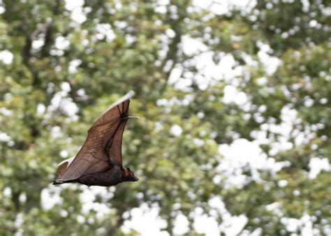 Jason Buglass Photography