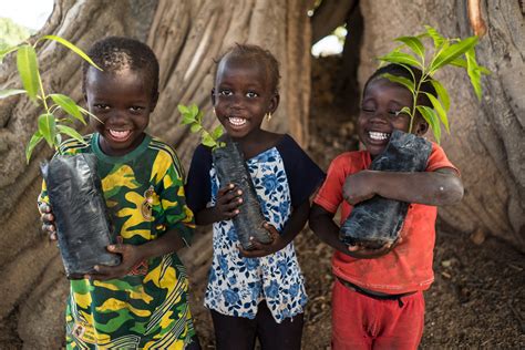 Plant Trees Collection Support Trees For The Future