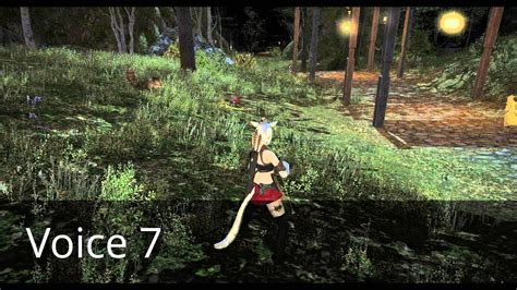 FFXIV ARR Combat Voices Female Mi Qote Keepers Of The Moon YouTube