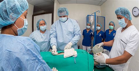 Carreras Ciencias De La Salud Unasa