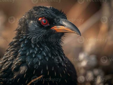 Chough Bird Portrait Created With Generative Ai Technology 29570314