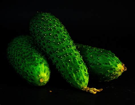 Sweet Burpless Cucumber Seeds Annual Full Sun 240 Seeds 1 4 Oz