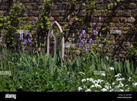 Gothic Arched Mirror In Spring Garden Against Stone Wall With Purple