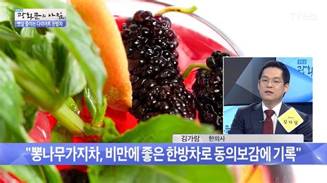 식욕을 억제해주는 ‘뽕나무가지차 광화문의 아침 457회 20170406 Youtube