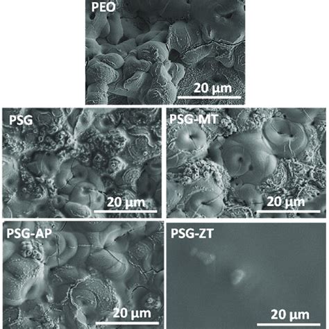 Sem Analysis On Surface Morphology At 200 K Magnification Of Coated