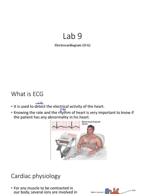 Ecg Slides Pdf