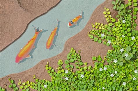 Roundleaf Bindweed Stock Illustrations 3 Roundleaf Bindweed Stock