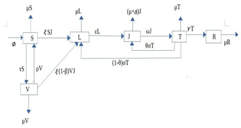 Computationmdpi Epidemiology Sensitivityanalysis Numericalscheme