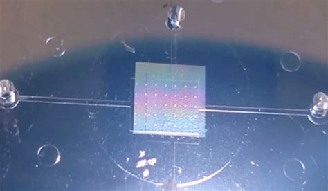 Modeling The Female Reproductive Tract With Organ On A Chip
