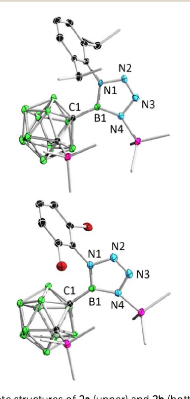 Figure 2 From Avenue To Novel O Carboranyl Boron Compounds Reactivity