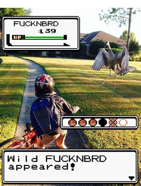 This Looks Like A Fuckin Pokemon Battle Tumbex
