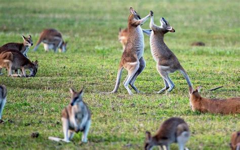 React Angular And Vue Which One Is Best And Why