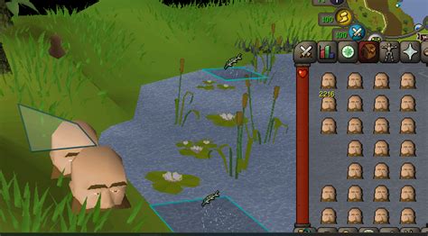 What Is This Haberdashery Null Item Glitch R2007scape