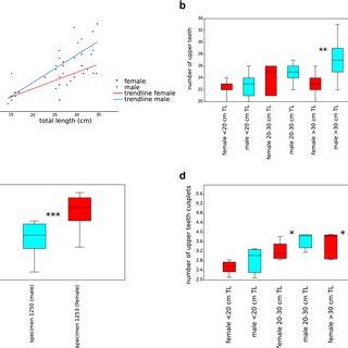 Sexual And Ontogenetic Differences In Tooth Morphology And Meristics P Download Scientific